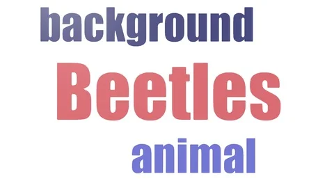 Beetles Word Cloud Animated Isolated On ... | Stock Video | Pond5