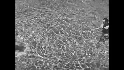 Text Suit Swimming Stock Videos – Royalty-Free HD & 4K Videos