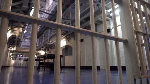 Max U Stock Videos – Royalty-Free HD & 4K Videos