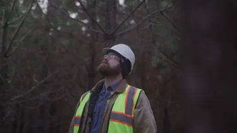 From Behind Tree Logger with Beard and S... | Stock Video | Pond5