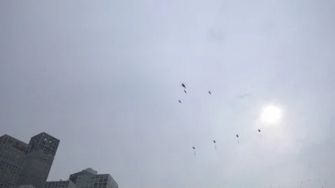 Sharescreen Party Watch Stock Videos – Royalty-Free HD & 4K Videos