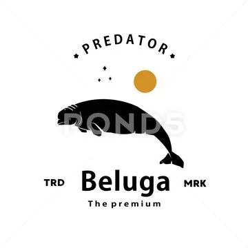 Beluga logo vector outline silhouette art icon: Graphic #288214881