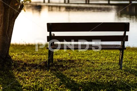A bench on grass near tree and water in the parks at sunset. Stock ...