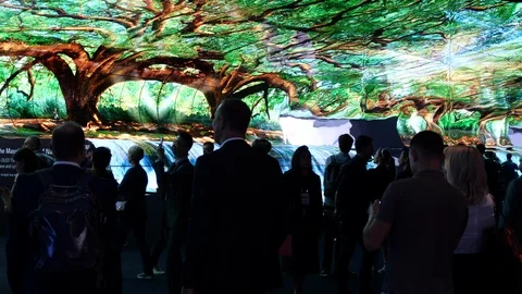 Fair Wall W Stock Videos – Royalty-Free HD & 4K Videos | Pond5