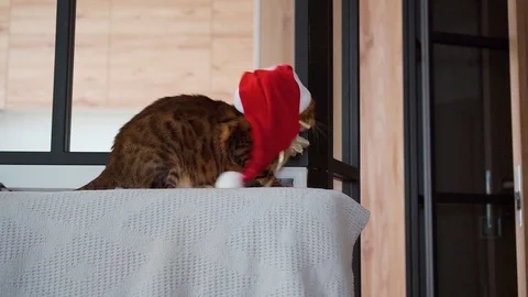 Real Image Of Stock Videos – Royalty-Free HD & 4K Videos | Pond5