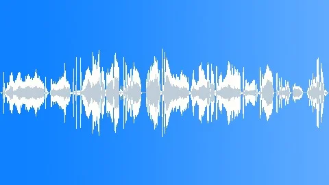 Sound Effect: Bengal Tiger, Moan and Groan, Growl, Open Mouth ~ #116405791