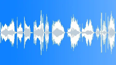 Bengal Tiger, Moan and Groan, Growl, Open Mouth ~ Clip #116405813