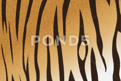 Bengal tiger stripe pattern: Royalty Free #54567618
