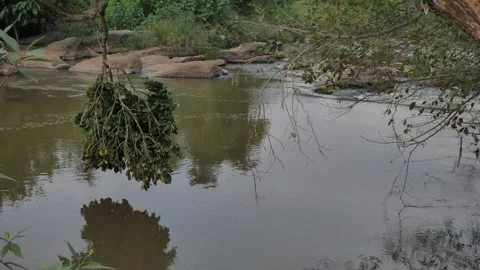 Bent Over and Stock Videos – Royalty-Free HD & 4K Videos | Pond5