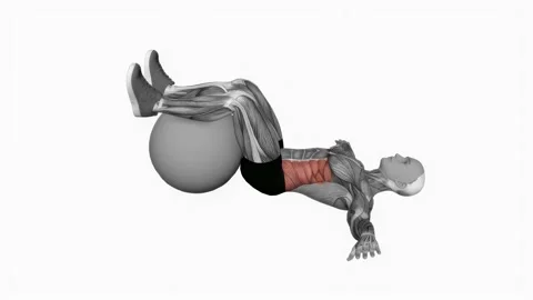 Knee Animations Stock Videos – Royalty-Free HD & 4K Videos | Pond5