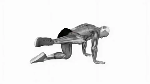 Ripps On Kick Stock Videos – Royalty-Free HD & 4K Videos