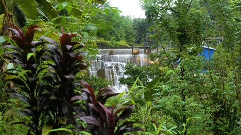 Beraliya Dola Ella Falls. Sri Lanka. Wat... | Stock Video | Pond5