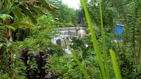 Beraliya Dola Ella Falls. Sri Lanka. Wat... | Stock Video | Pond5