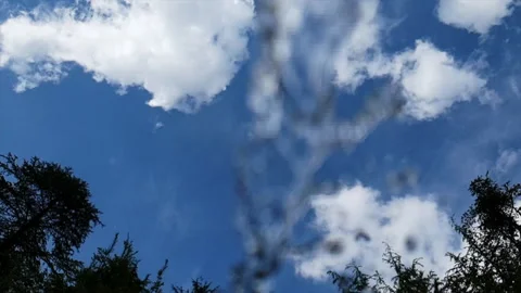 Best Wallpaper Videos Stock Videos – Royalty-Free HD & 4K Videos