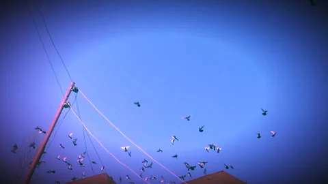 Best videos in high definition for film ... | Stock Video | Pond5