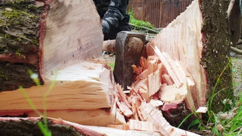 Commerical Filming Stock Videos – Royalty-Free HD & 4K Videos | Page 2