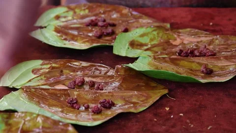 betel leaf with eating ingredients from ... | Stock Video | Pond5