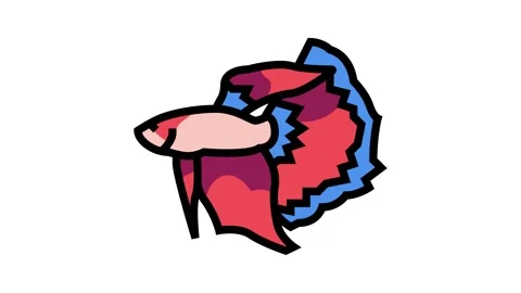 betta fish color icon animation | Stock Video | Pond5