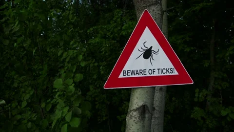 Beware of ticks warning sign on the tree | Stock Video | Pond5