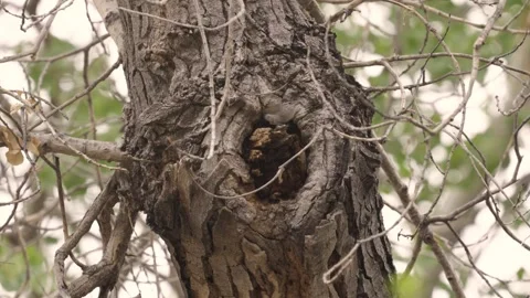 Leaving Site Stock Videos – Royalty-Free HD & 4K Videos