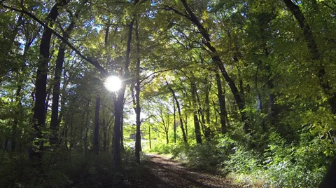 Utube Beyond L Stock Videos – Royalty-Free HD & 4K Videos | Pond5