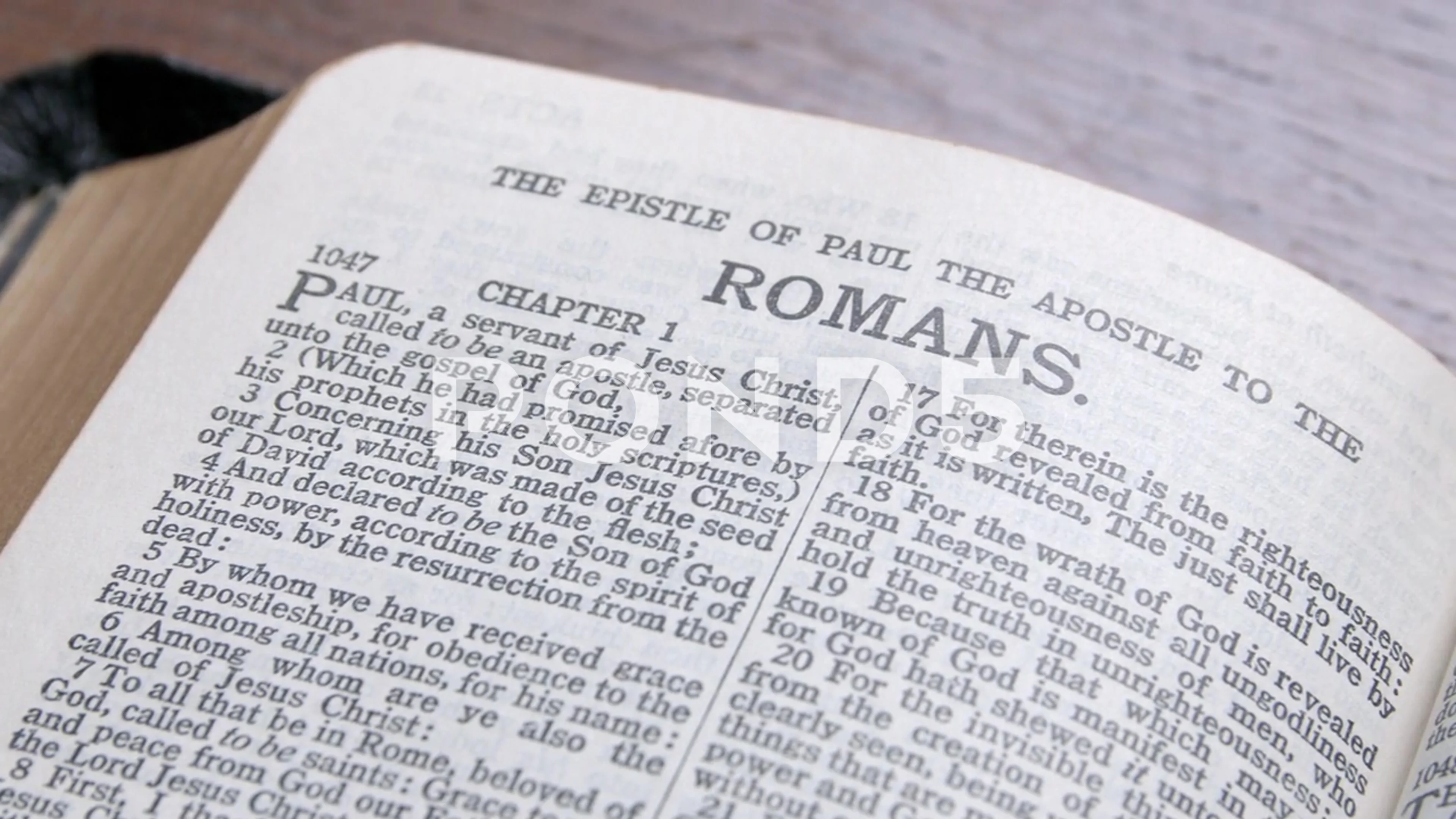 Bible Romans Bible Romans