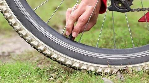 Girl In Wheel Stock Videos – Royalty-Free HD & 4K Videos | Page 2