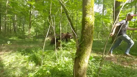 Bear Man Stock Footage ~ Royalty Free Stock Videos | Pond5