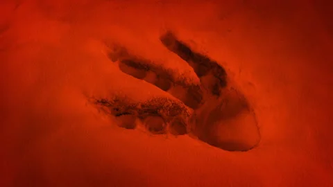 Footprint Big Stock Videos – Royalty-Free HD & 4K Videos