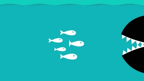 Big fish eating many little fish good an... | Stock Video | Pond5