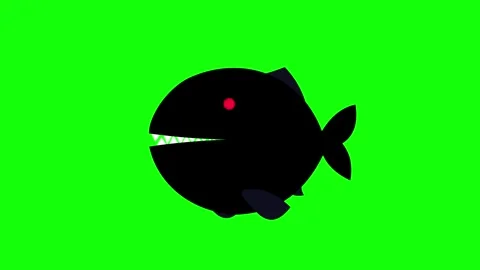 Big fish green background screen isolate... | Stock Video | Pond5