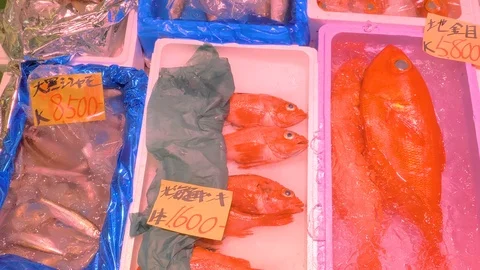 The big fish on an ice chiller inside th... | Stock Video | Pond5