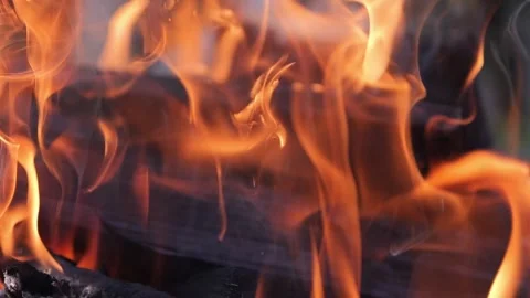 Explosion Bomb Sound Stock Videos – Royalty-Free HD & 4K Videos