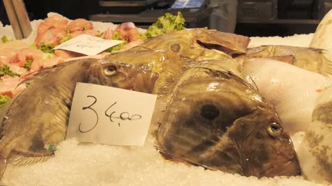 Big fresh pieces of fish in ice on the c... | Stock Video | Pond5