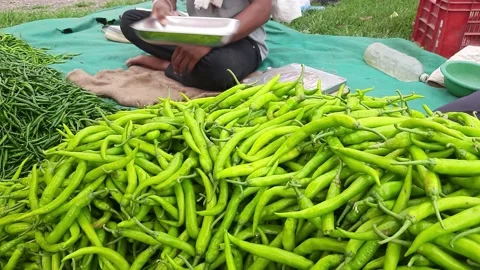 Big Green Chilli at Local Vegetable Mark... | Stock Video | Pond5