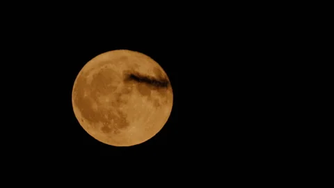 Big moon rising on a dark night | Stock Video | Pond5