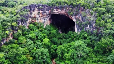 Big open cave in lush green tropical for... | Stock Video | Pond5