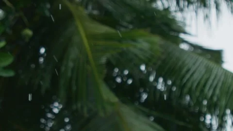 Sri Lanka Rain Stock Footage ~ Royalty Free Stock Videos | Pond5