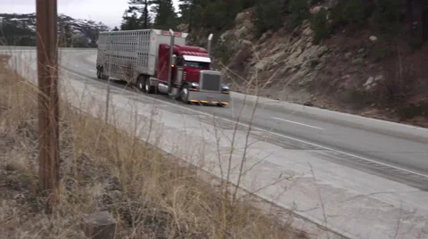 Big rig cattle truck on freeway, mountai... | Stock Video | Pond5