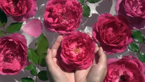 Swater Big Woman Stock Videos – Royalty-Free HD & 4K Videos | Pond5