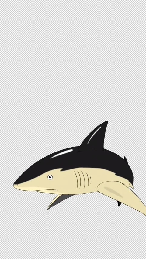 Shark Animation Stock Video Footage | Royalty Free Shark Animation ...