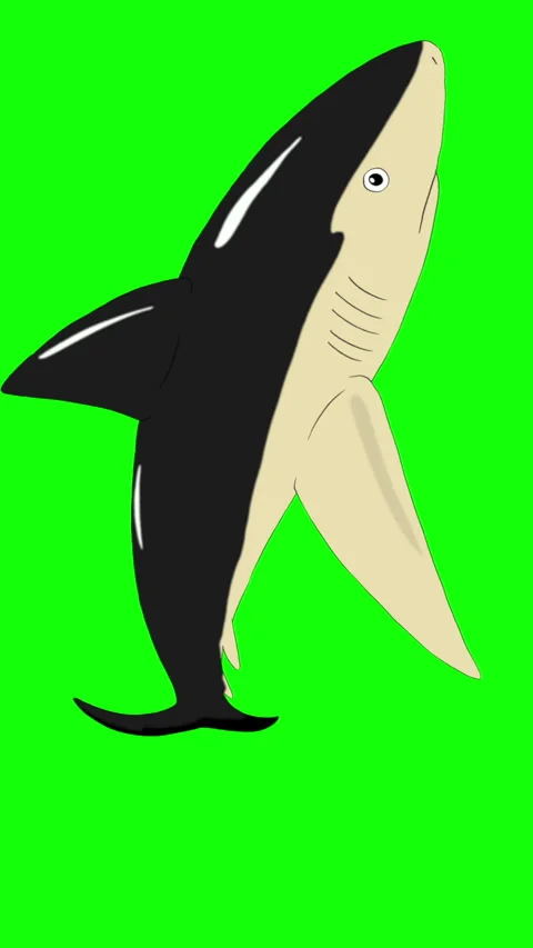 Shark Animation Stock Video Footage | Royalty Free Shark Animation ...