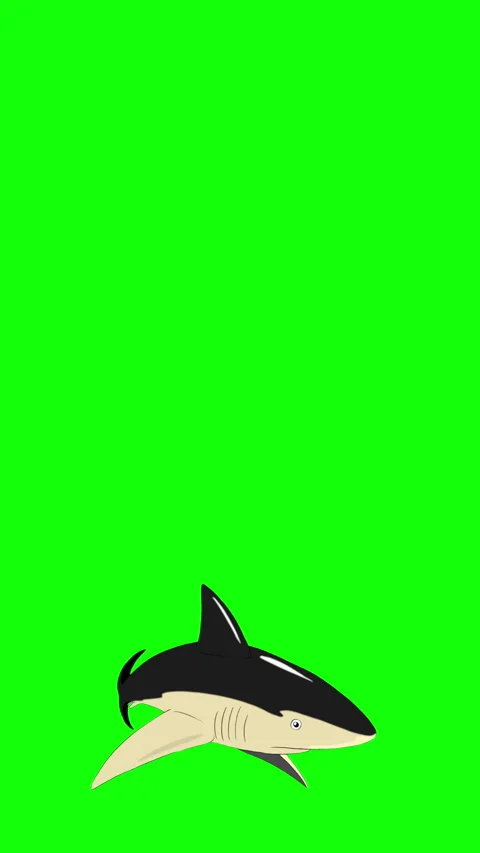 Shark Animation Stock Video Footage | Royalty Free Shark Animation ...