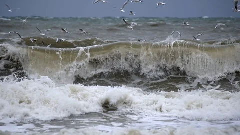 Wethering Wave Stock Videos – Royalty-Free HD & 4K Videos | Pond5