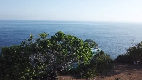 Big Tree on Cliff Edge with Beautiful Cl... | Stock Video | Pond5