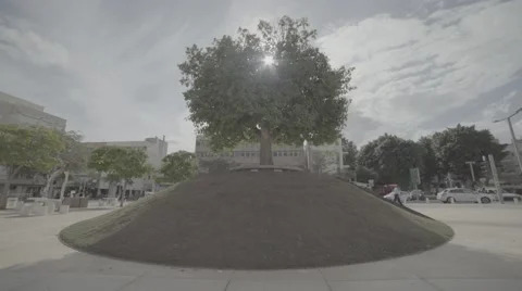 Slog3 Stock Video Footage | Royalty Free Slog3 Videos | Pond5