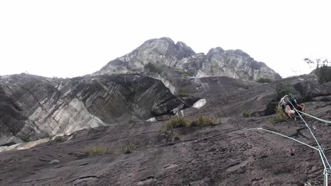 Big Wall Climber Ascending Rope on Jungl... | Stock Video | Pond5