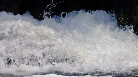 Jumping Fron Stock Videos – Royalty-Free HD & 4K Videos