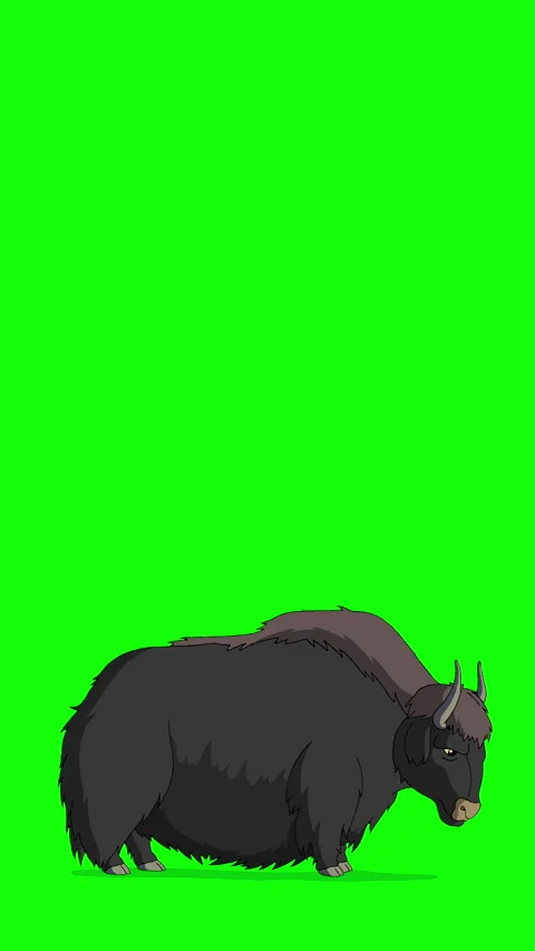 Big Yak chroma key HD animation vertical... | Stock Video | Pond5