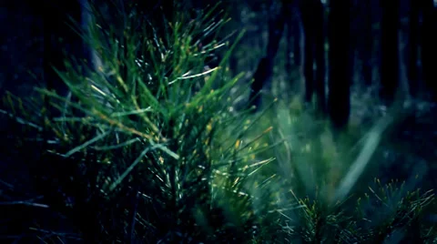 Profile P3 Stock Videos – Royalty-Free HD & 4K Videos